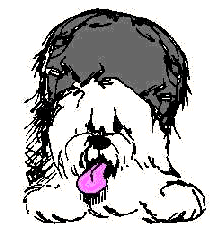 O plemeni Bobtail :: Bejbinka-bobtail